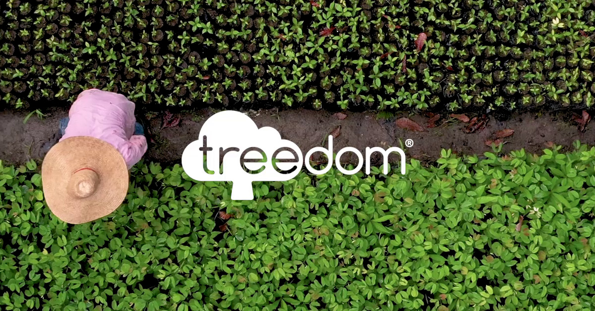 Eridania per Treedom | Eridania